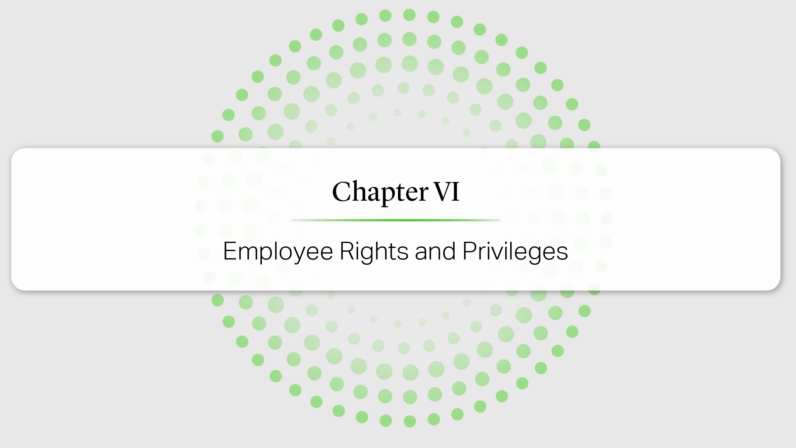 GCMH 2025, Chapter VI: Employee Rights and Privileges | Cleary Gottlieb