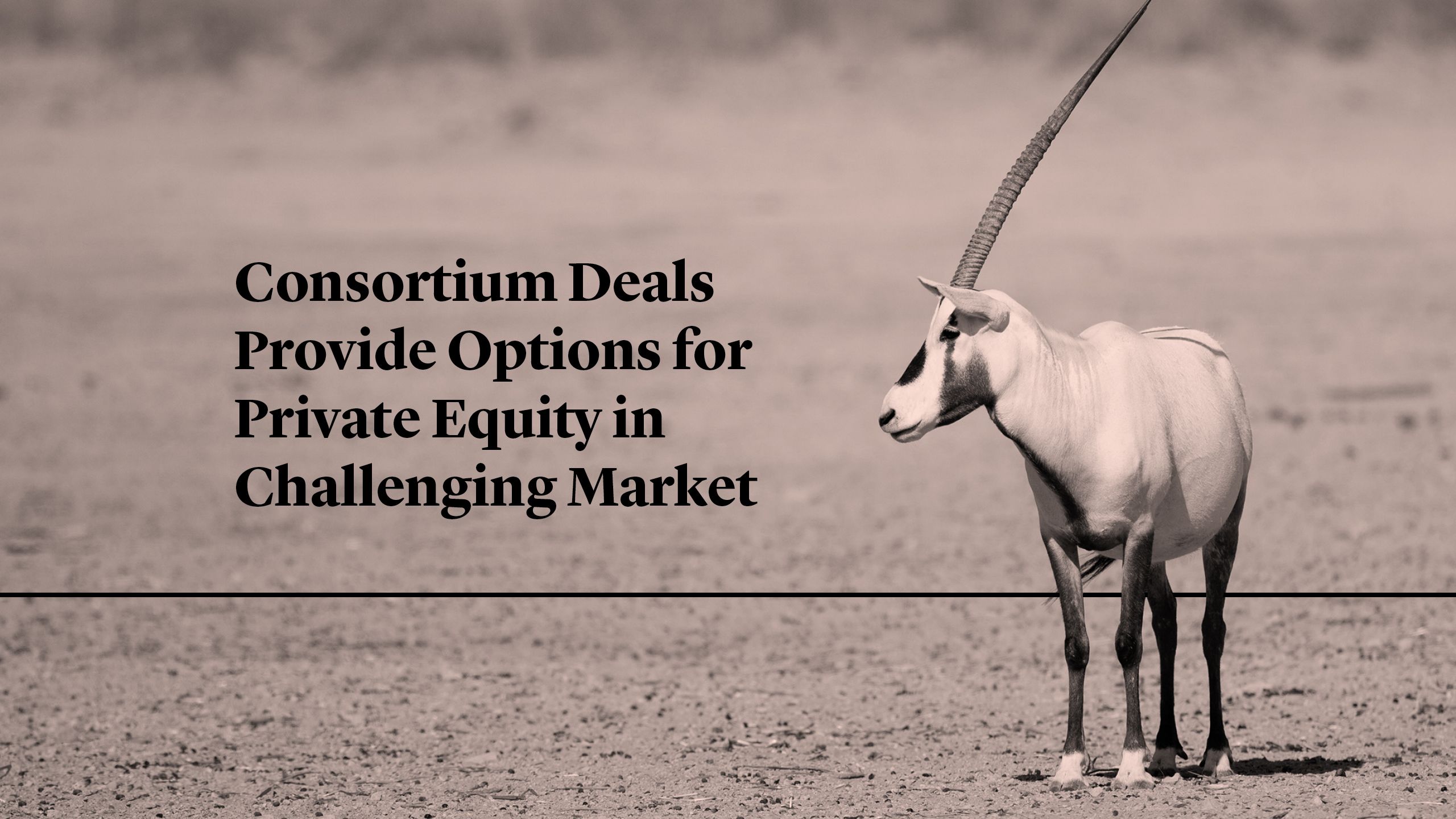 Cleary Gottlieb | Consortium Deals Provide Options for Private Equity ...