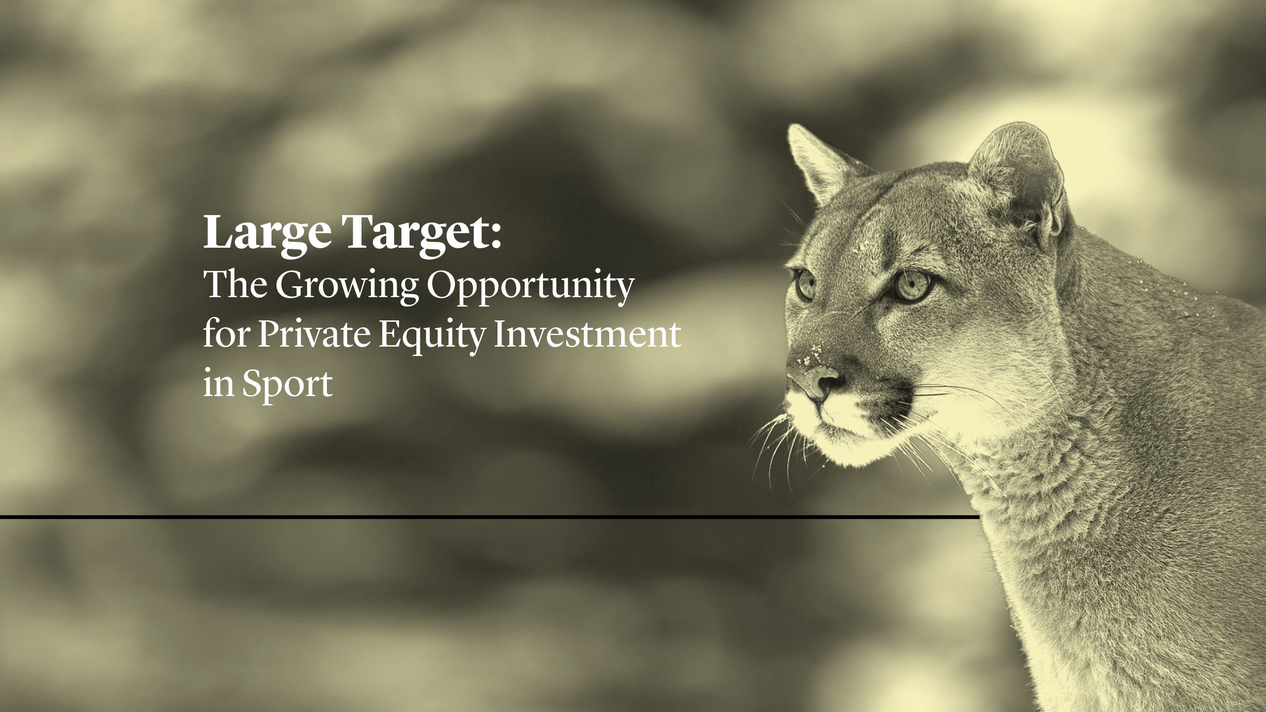 Cleary Gottlieb | Large Target: The Growing Opportunity for Private ...