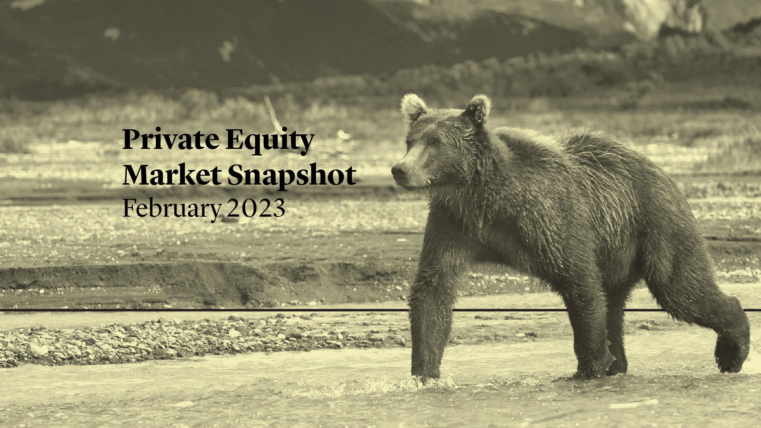 Cleary Gottlieb | Private Equity Market Snapshot February 2023