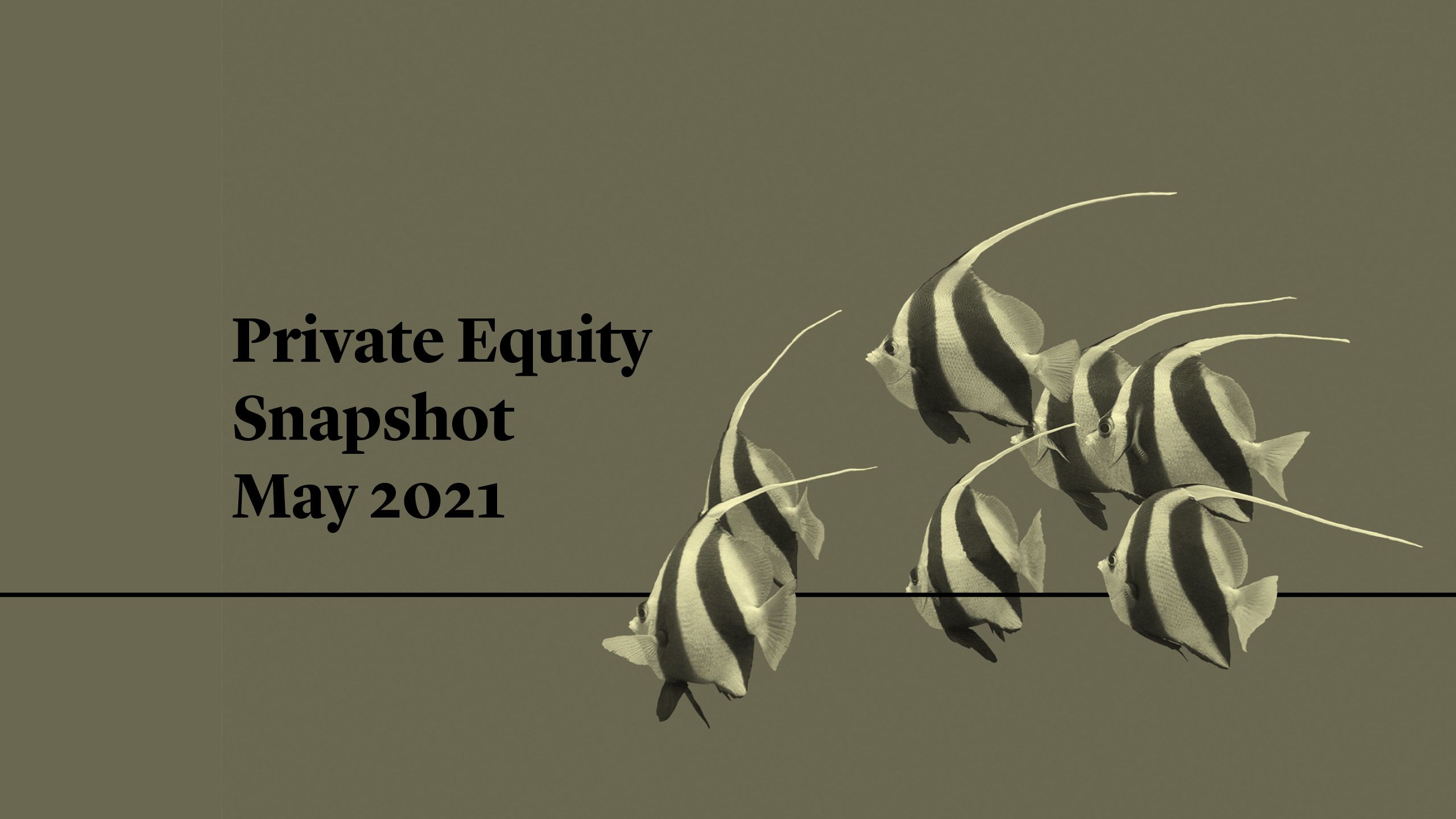 Cleary Gottlieb | Private Equity Snapshot May 2021