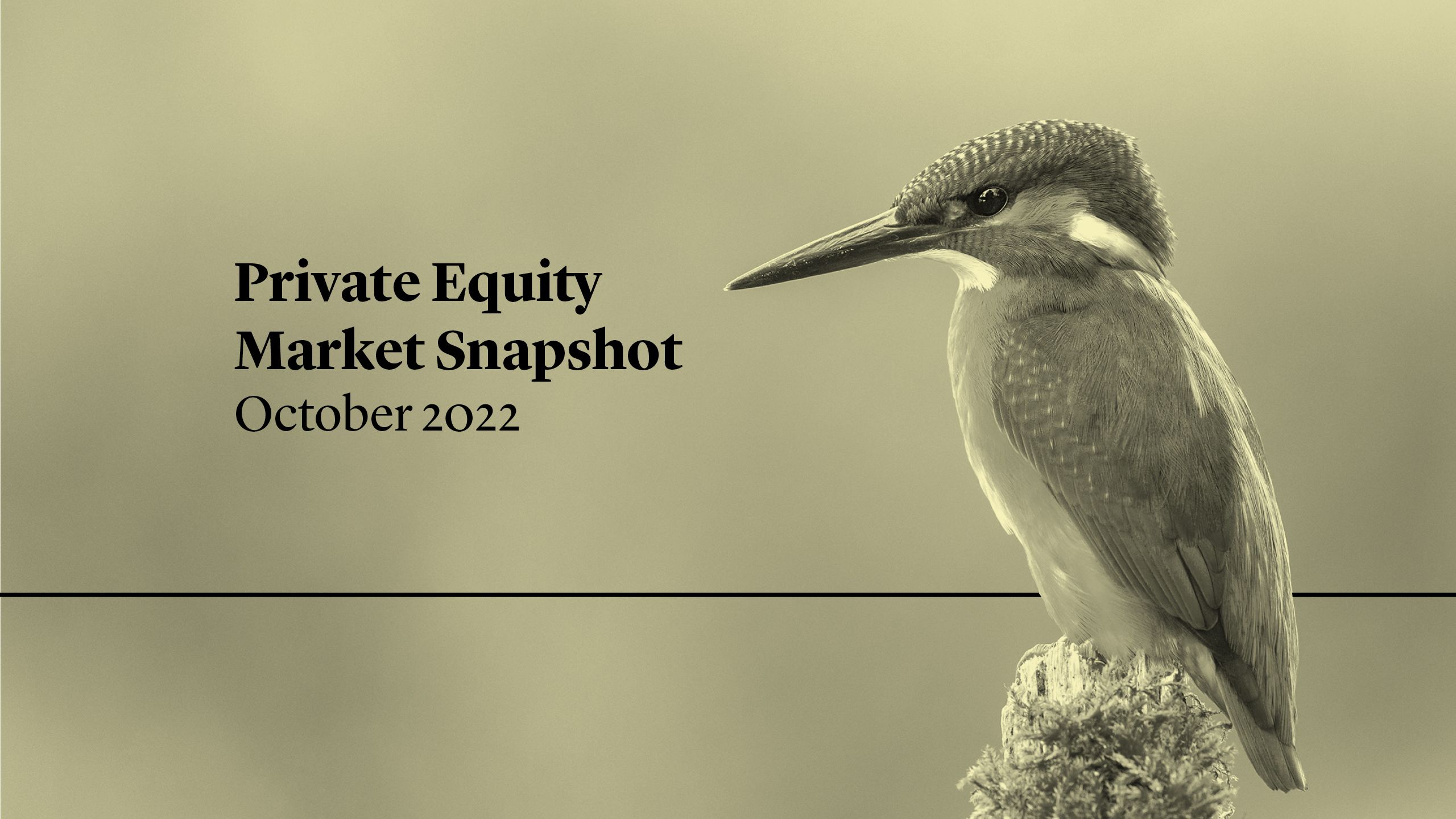 Cleary Gottlieb | Private Equity Market Snapshot October 2022