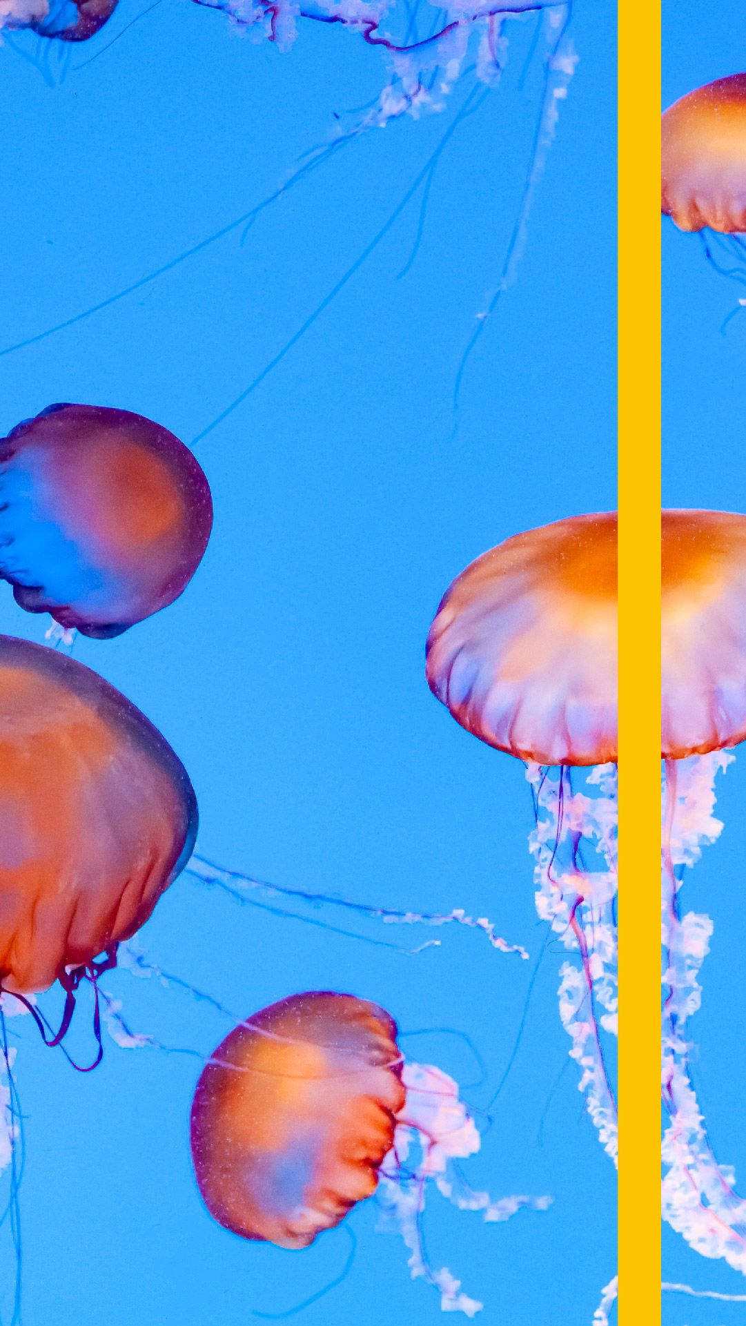 First Looks at NAV Finance