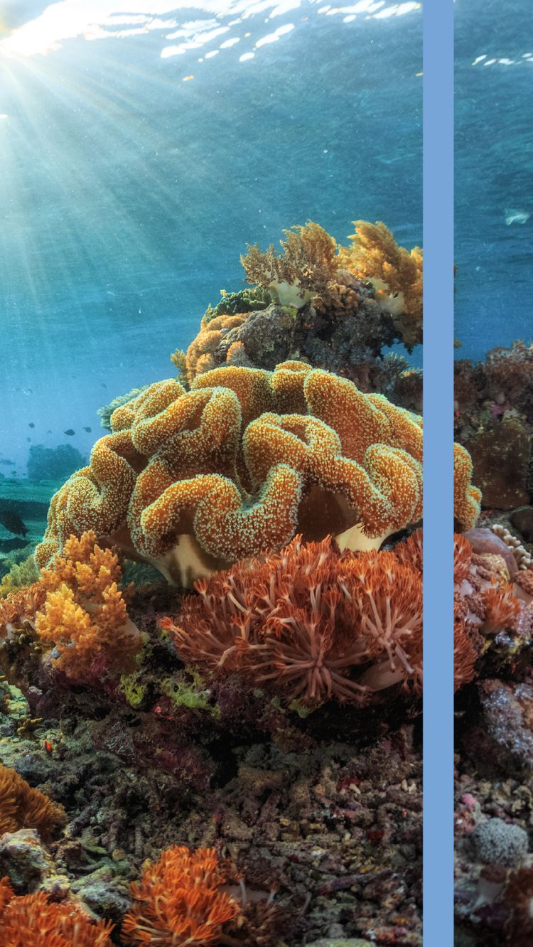 Cleary Gottlieb | Seven Things to Know About Credit Secondaries Investing