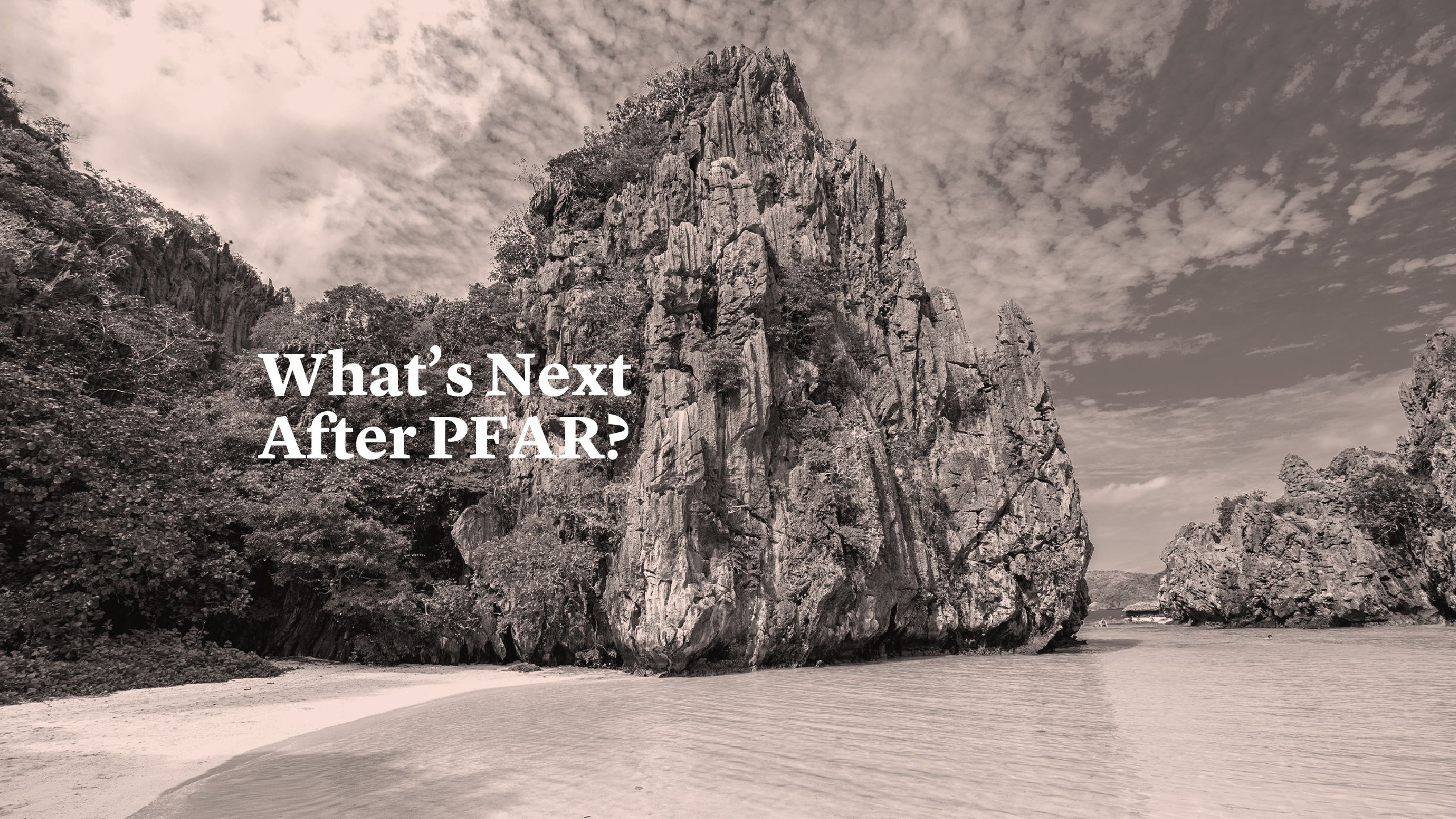 Cleary Gottlieb | What’s Next After PFAR?